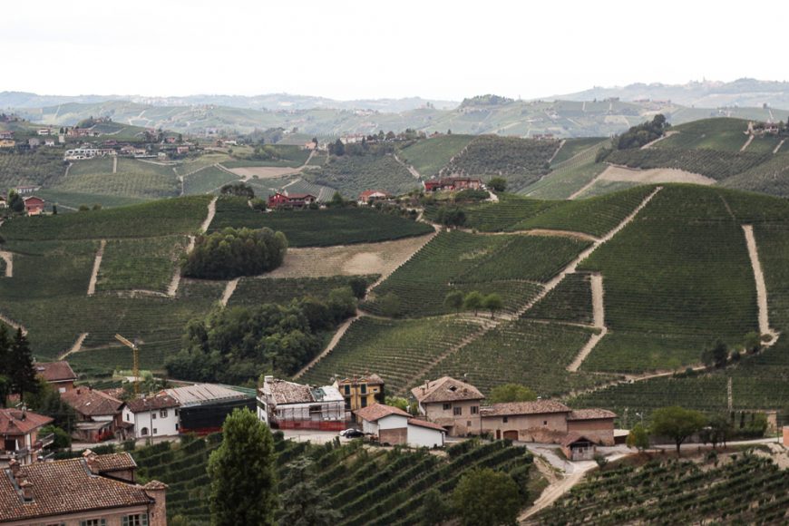 A spasso con Albeisa: tour di 3 giorni nelle Langhe - Licia Sangermano