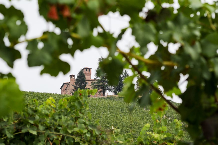A spasso con Albeisa: tour di 3 giorni nelle Langhe - Licia Sangermano