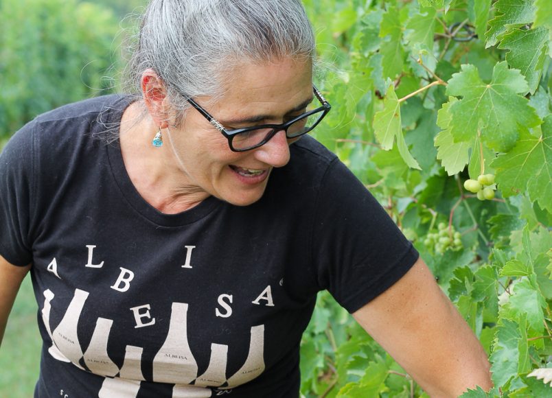 A spasso con Albeisa: tour di 3 giorni nelle Langhe - Licia Sangermano